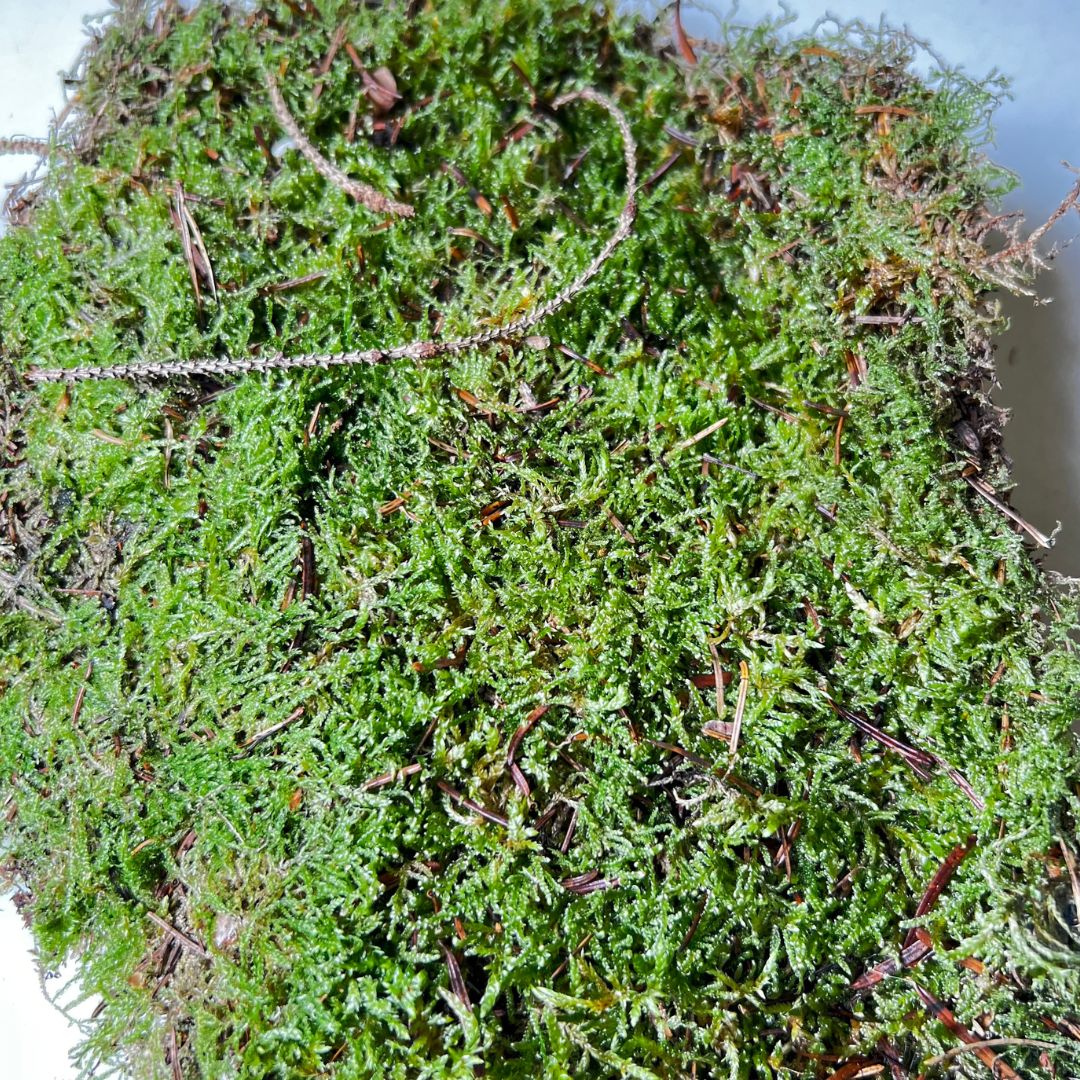 DIY Anleitung für eine Herbstdeko vor dem Haus - Blumenmann
